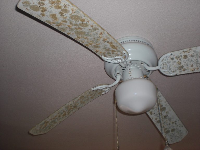 mold-on-ceiling-fan